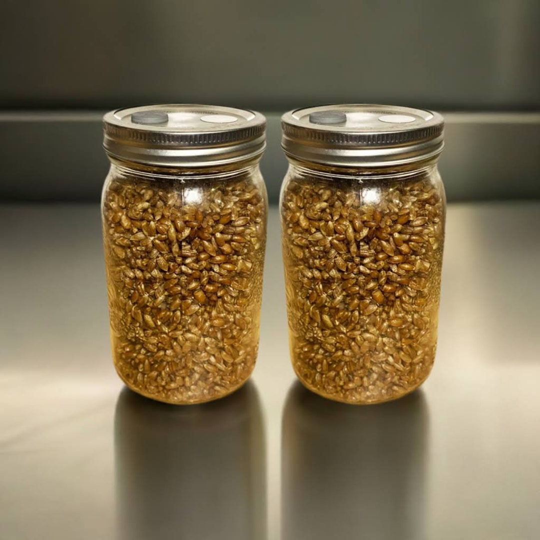 Sterile Grain Spawn Jars for Mushroom Growing 2 X 1000ml Jars Self ...