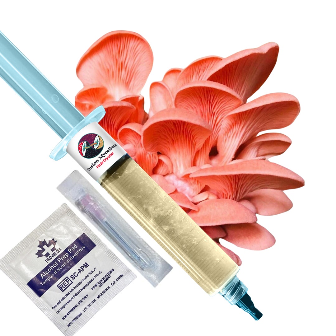 Pink Oyster Mushroom Liquid Culture Live Mycelium Syringe 10ml & 60ml ...
