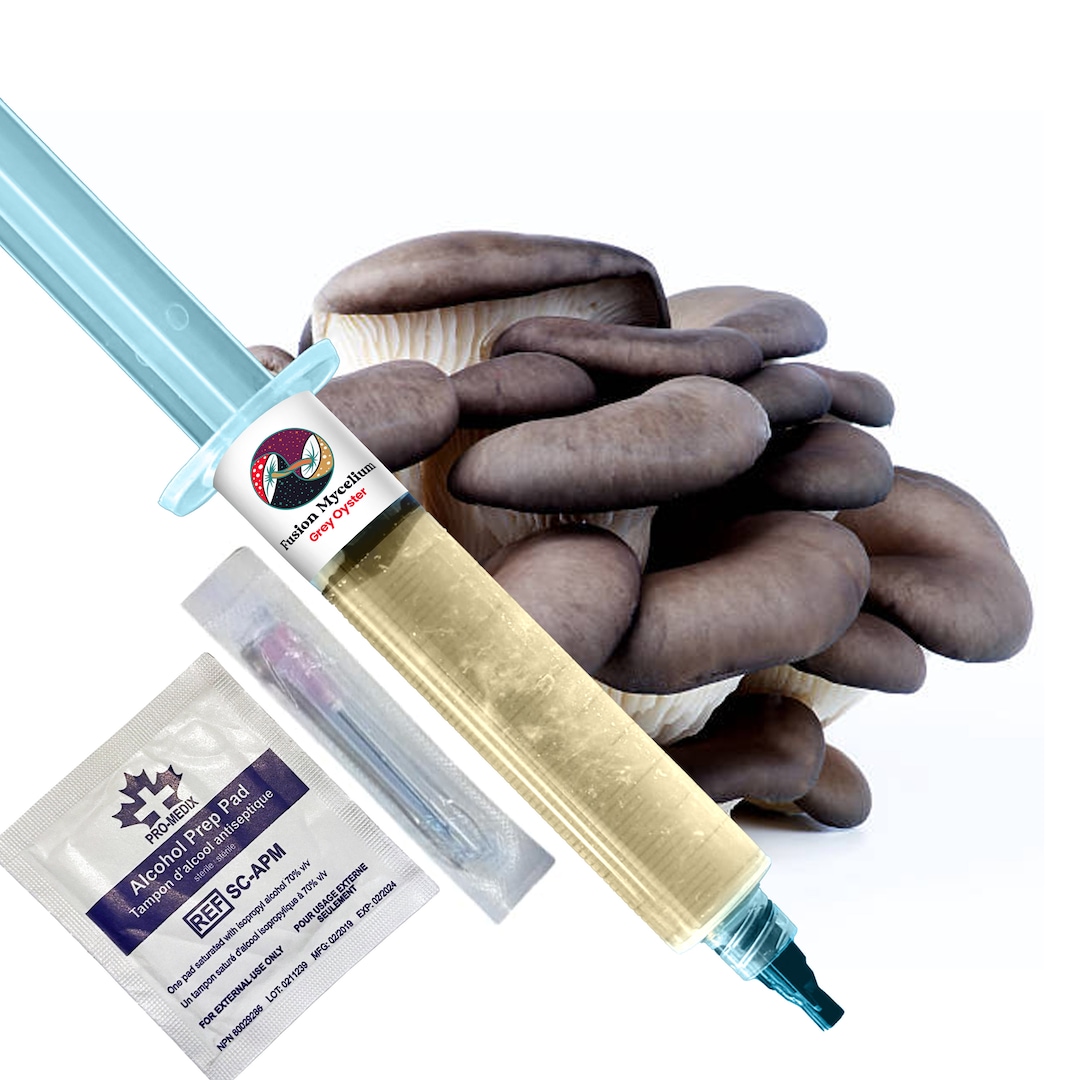 Gray Oyster Liquid Culture 10ml & 60ml Live Mycelium Syringe Free ...