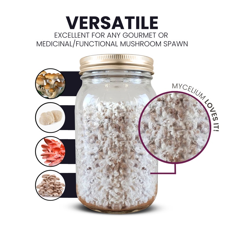 Buy Sterile Grain Spawn Jars for Mushroom Growing and Excellent for ...