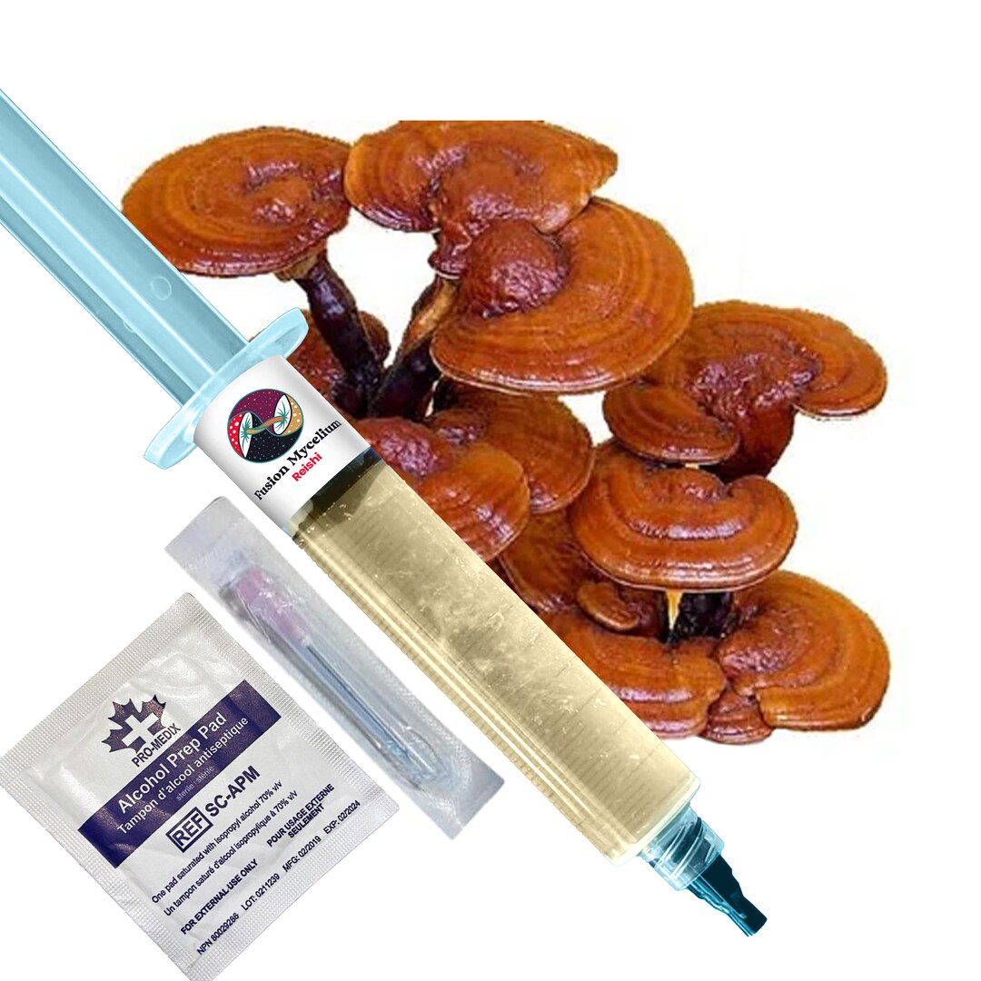 Reishi ganoderma Lucidum Mushroom Liquid Culture Syringe 10ml Live ...