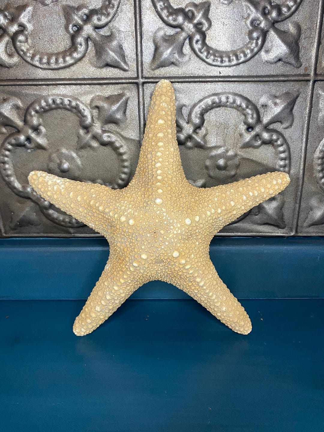 Starfish, Huge Star Fish, Big Starfish, Sea Starfish, Ocean Starfish ...