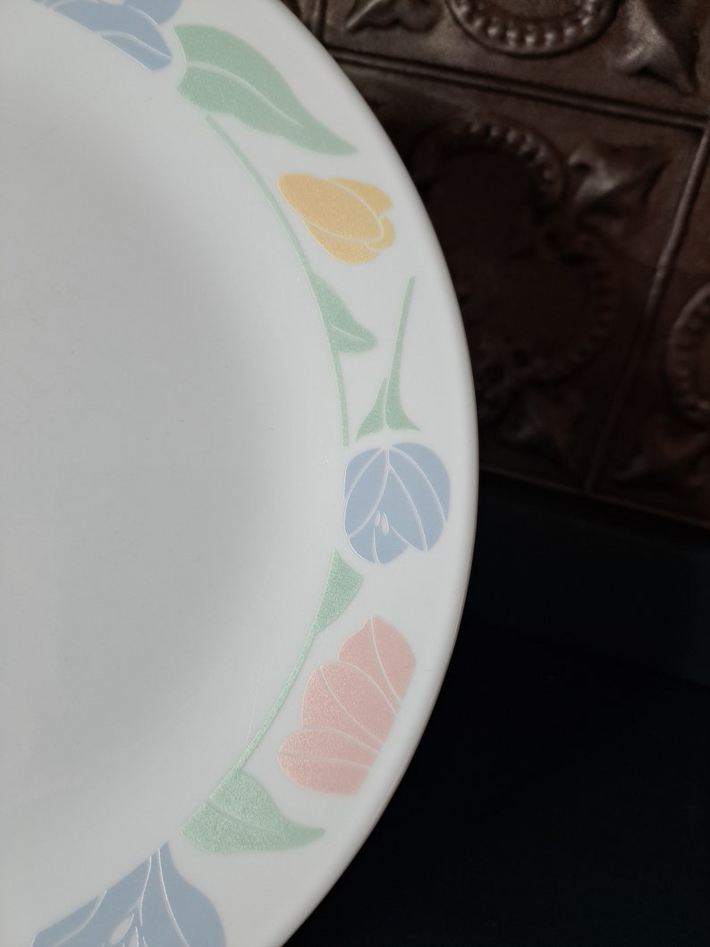 Corelle Friendship Dinner Plate, Corning Friendship Dinner Plates ...