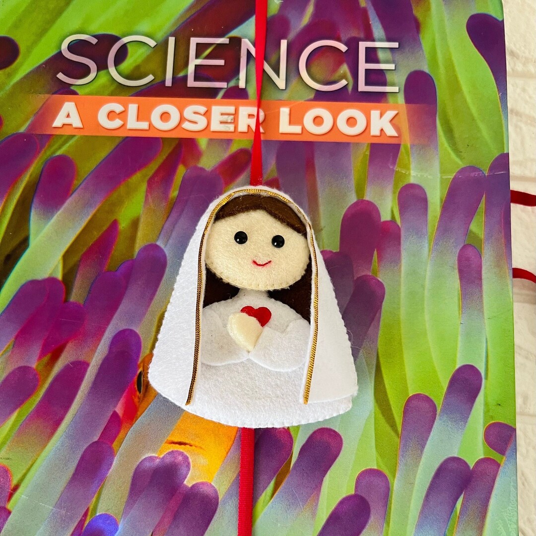 St Mary Bookmark, Religious Bible Study Gift for Her - Catholic Book ...