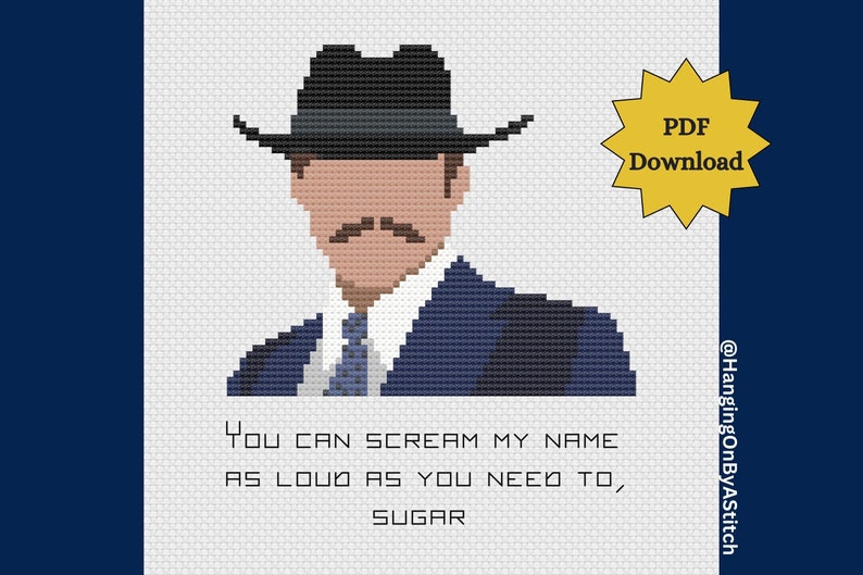 Agent Whiskey Pedro Pascal Cross Stitch Pattern - Etsy