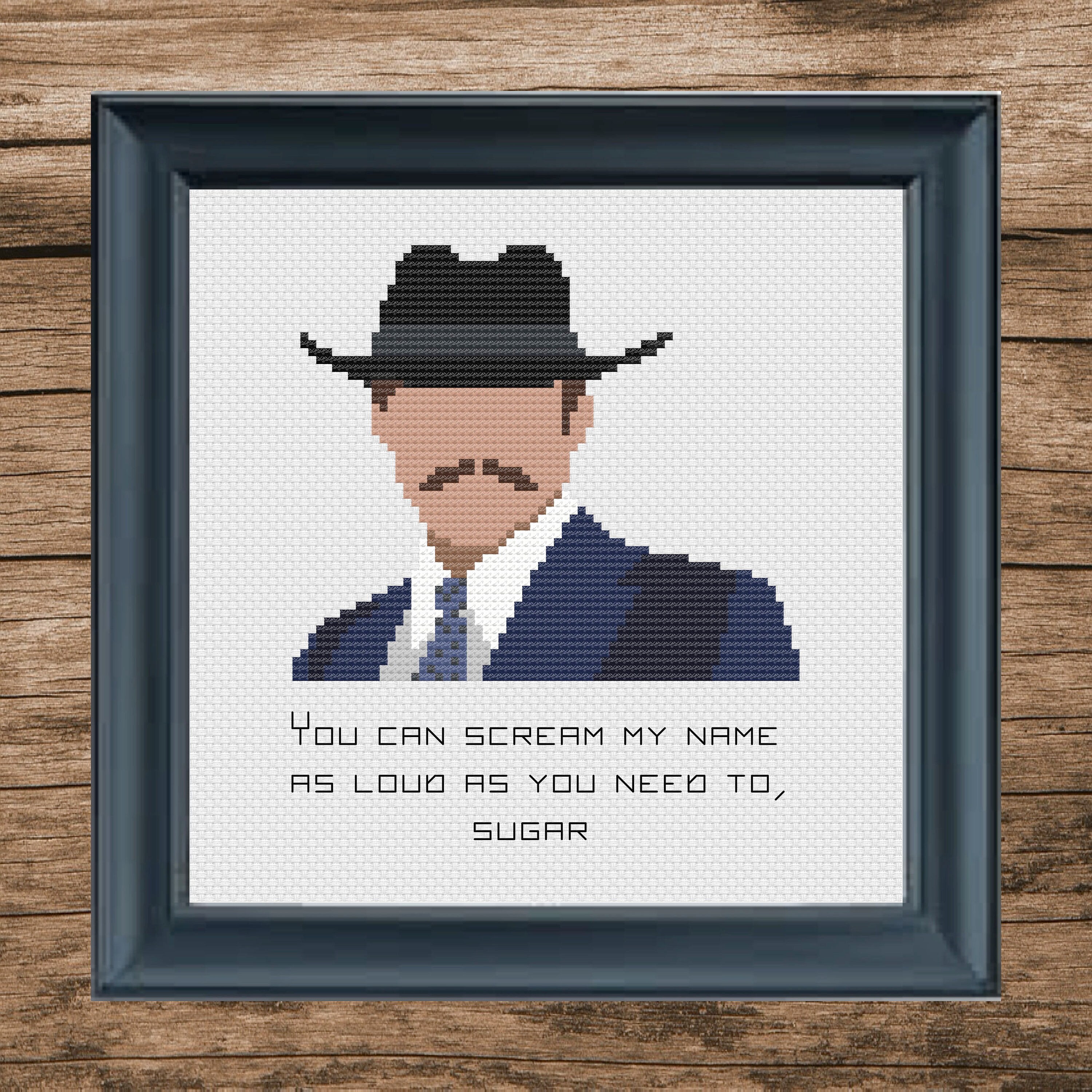 Agent Whiskey Pedro Pascal Cross Stitch Pattern - Etsy