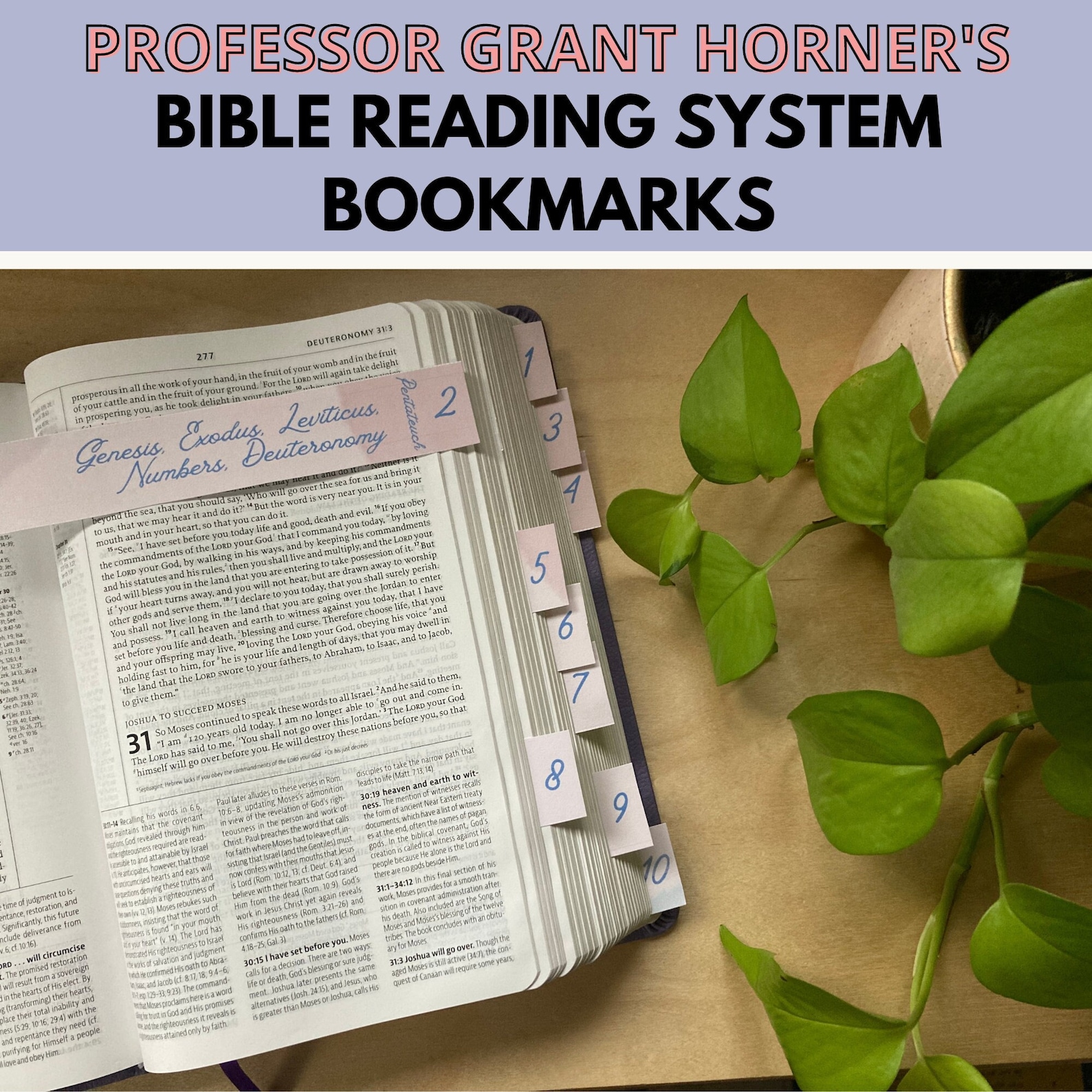 Bible Bookmark Reading System | Professor Grant Horner's | Daily Bible ...