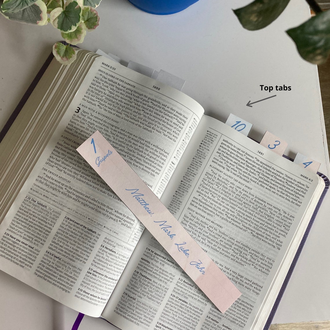 Bible Bookmark Reading System | Professor Grant Horner's | Daily Bible ...