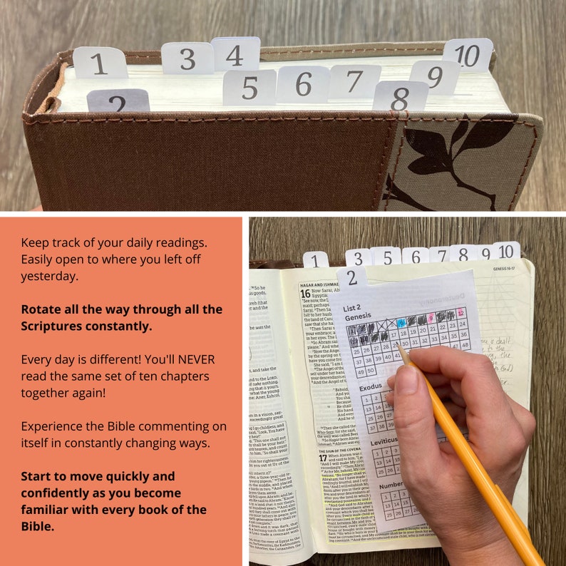 Bible Bookmark Trackers Professor Grant Horner's Reading System Daily ...