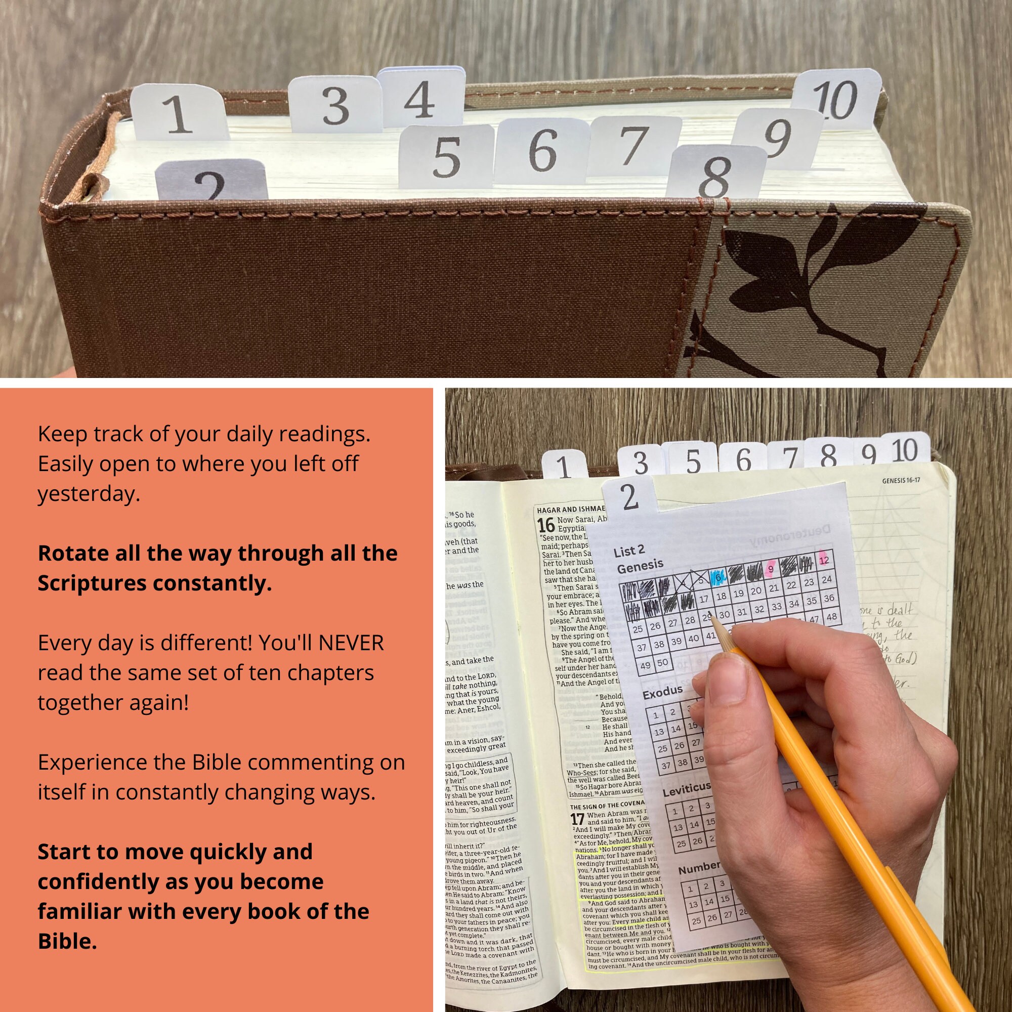 Bible Bookmark Trackers | Professor Grant Horner's Reading System ...