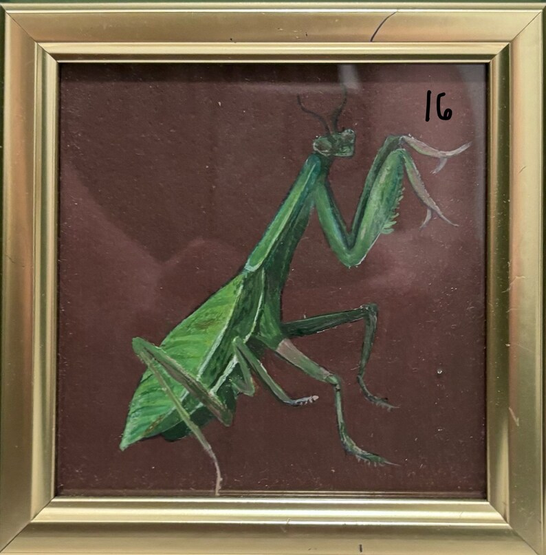 Bug Paintings - Etsy