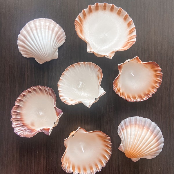 Seashell Candles - Etsy