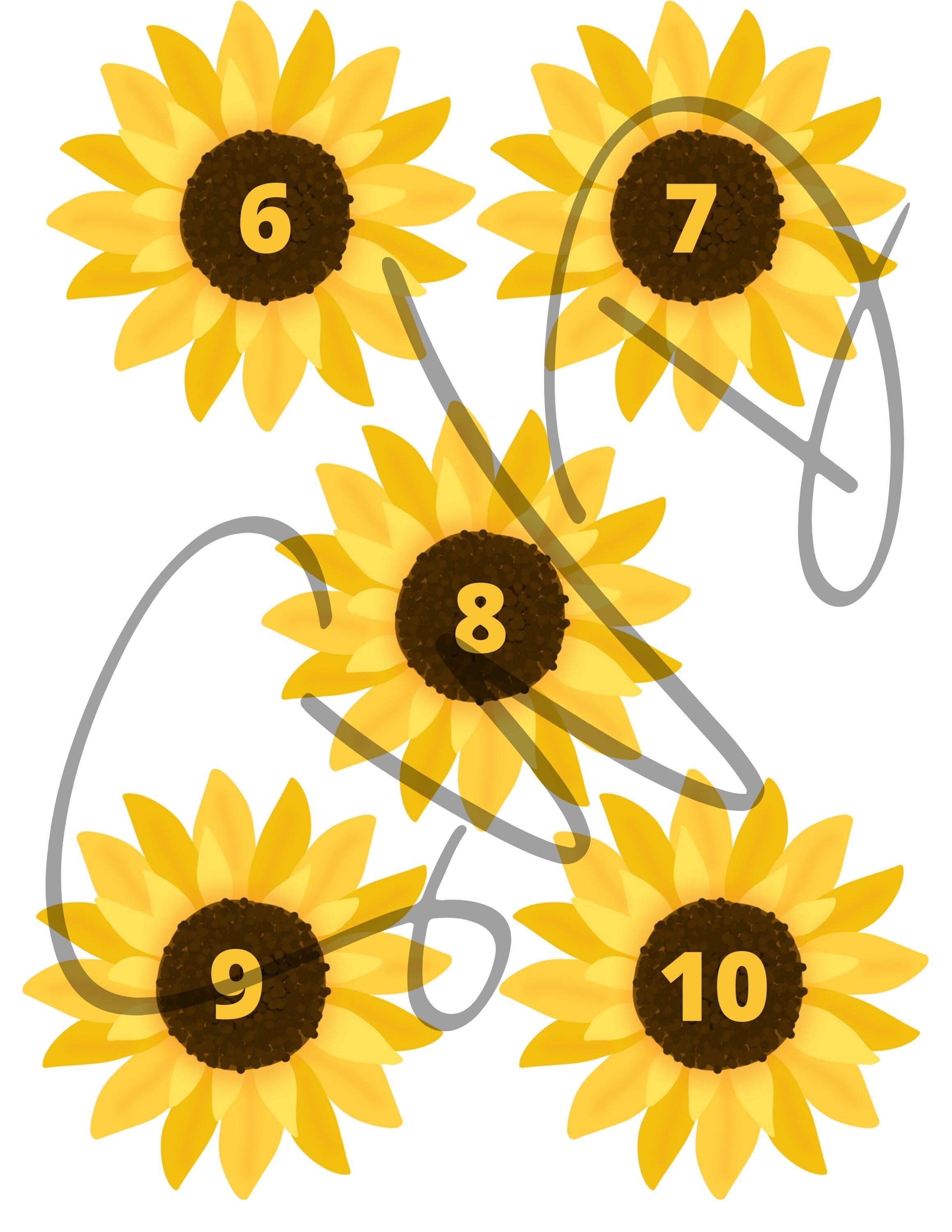 Sunflower Seed Counting Activity - Etsy