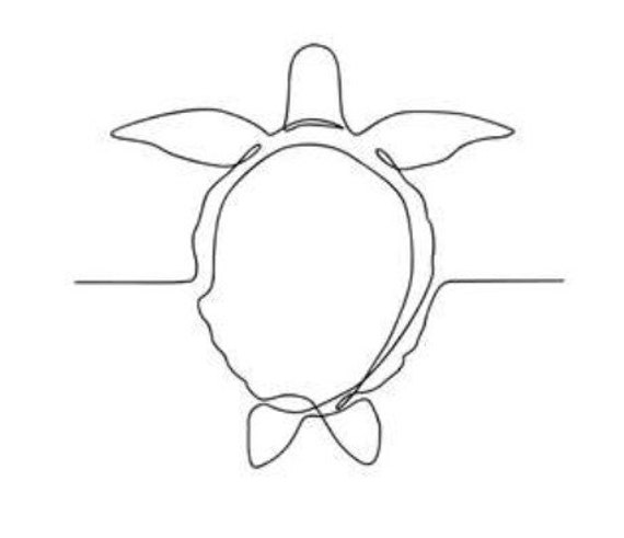 Continuous Line Art Drawing of Turtle. Minimalist Black - Etsy