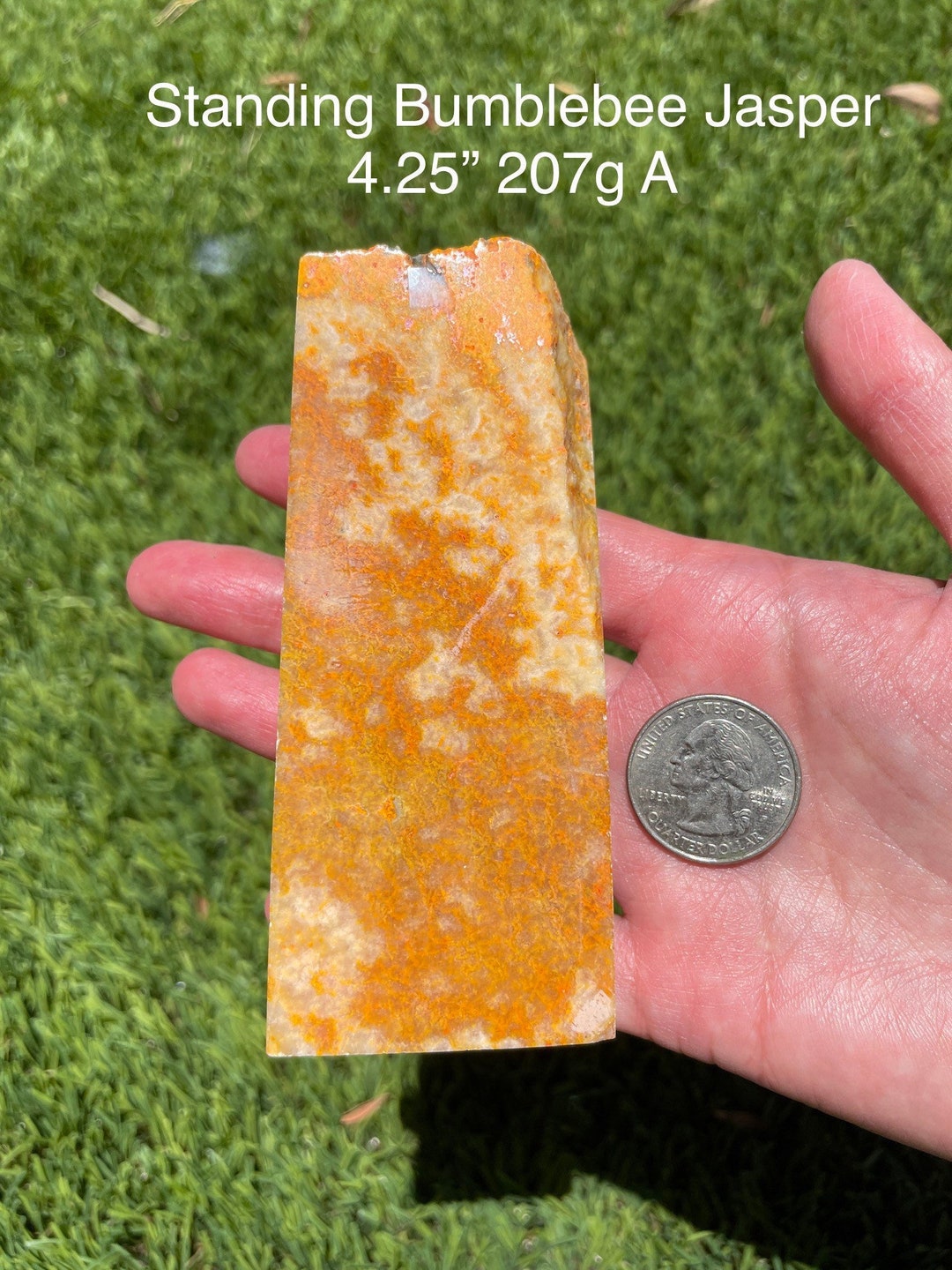 Bumblebee Jasper Freeform Slab Specimen Choose Your Own US Seller - Etsy