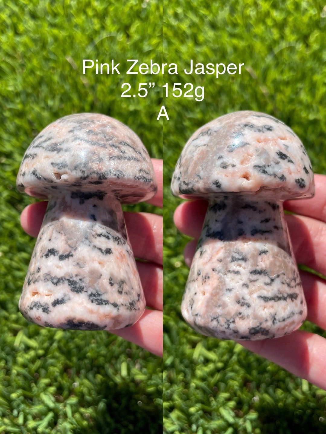 Pink Zebra Jasper Mushroom to Choose From US Seller - Etsy