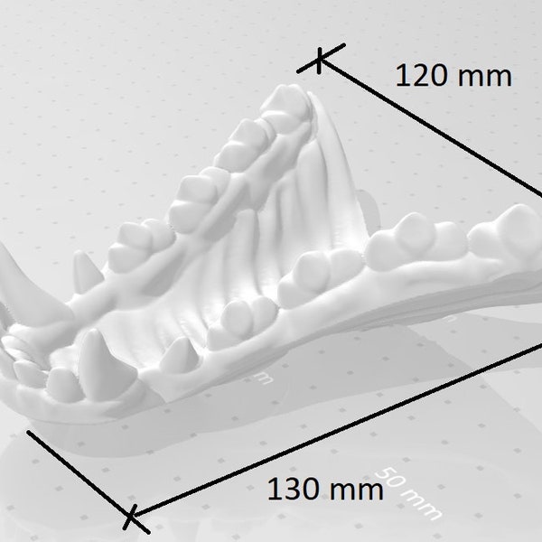 3d Printing Teeth Model - Etsy