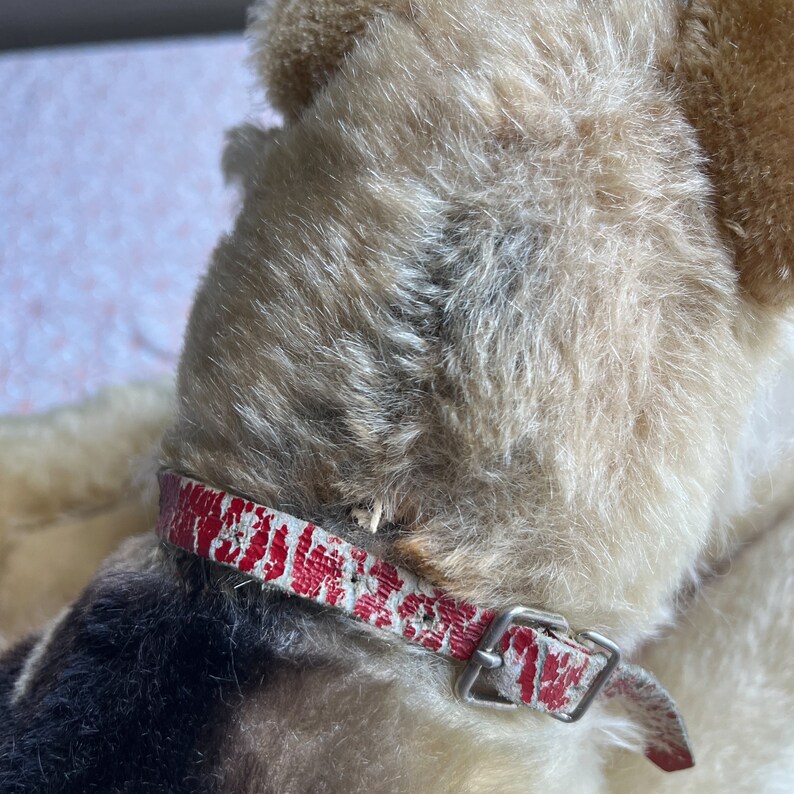 1950s Steiff Mohair arco German Shepherd Reclining Dog Plush Toy - Etsy