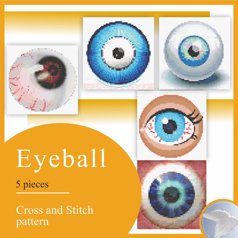 Eyeball Eyelid Eyes Beautiful Colours Gray Blue Green Brown Anatomy ...