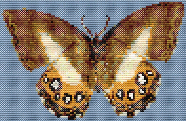 A New Species of Butterflies is Named in Honor of Sauron From the lord ...
