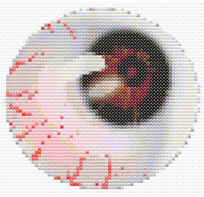 Eyeball Eyelid Eyes Beautiful Colours Gray Blue Green Brown Anatomy ...