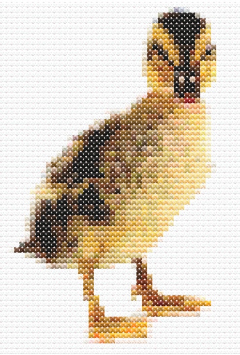 Ducks and Ducklings Family Cross Stitch Pattern Embroidery Instruction ...