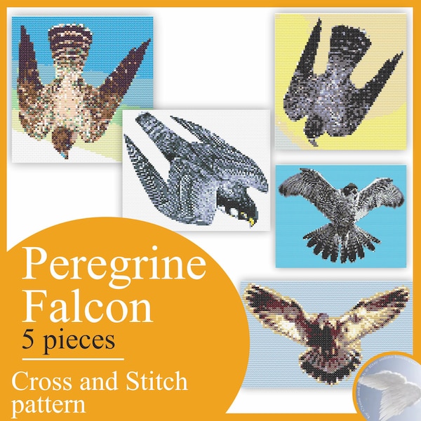 Falcon Embroidery Design - Etsy