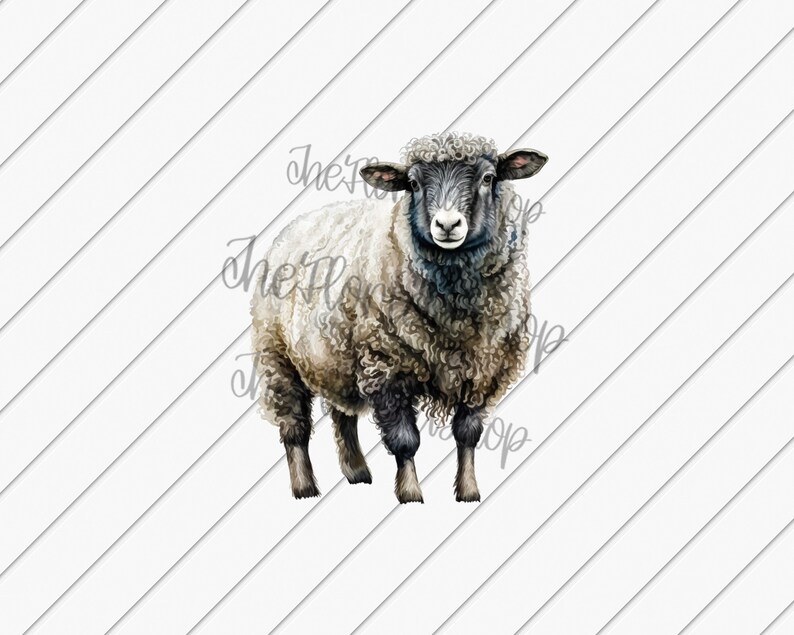 Sheep Png, Farm Animal Png, Western Png, Western Designs Downloads ...
