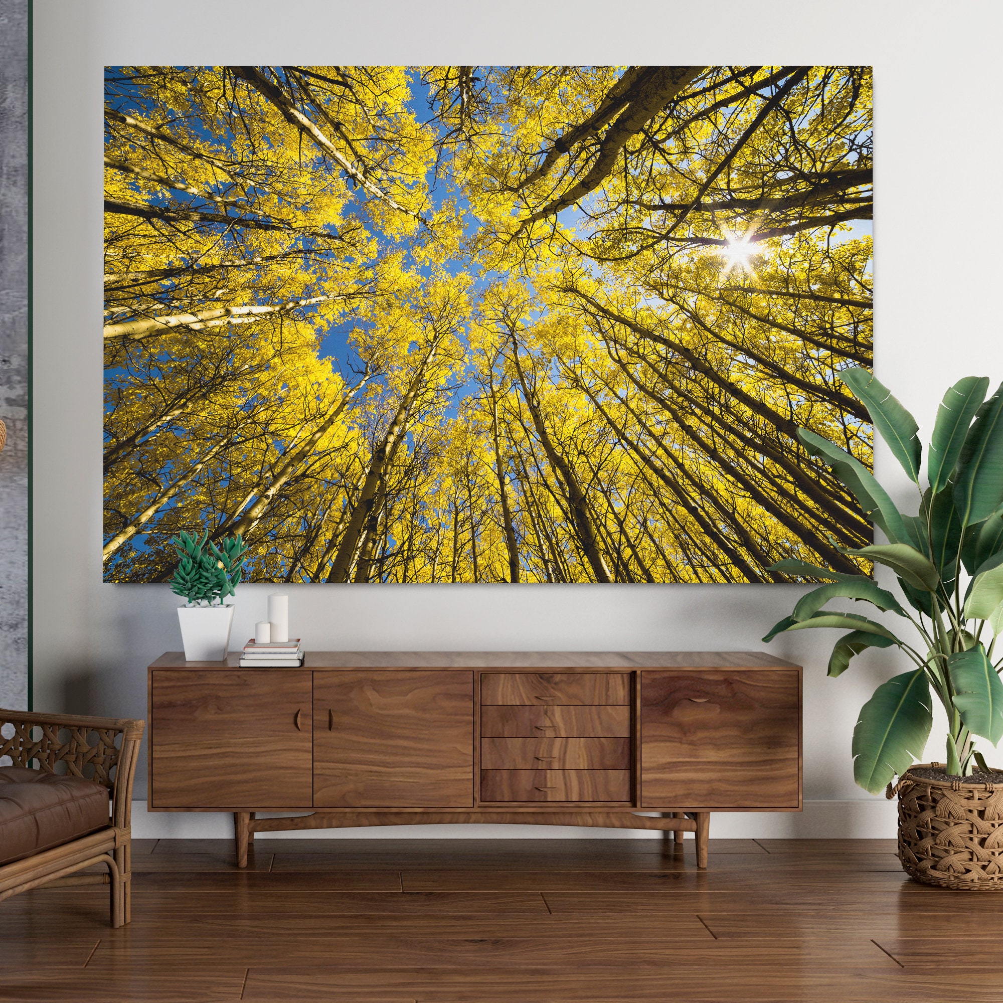 Panoramic Aspen Tree Wall Art, Birch Tree, Nature Photography Art ...