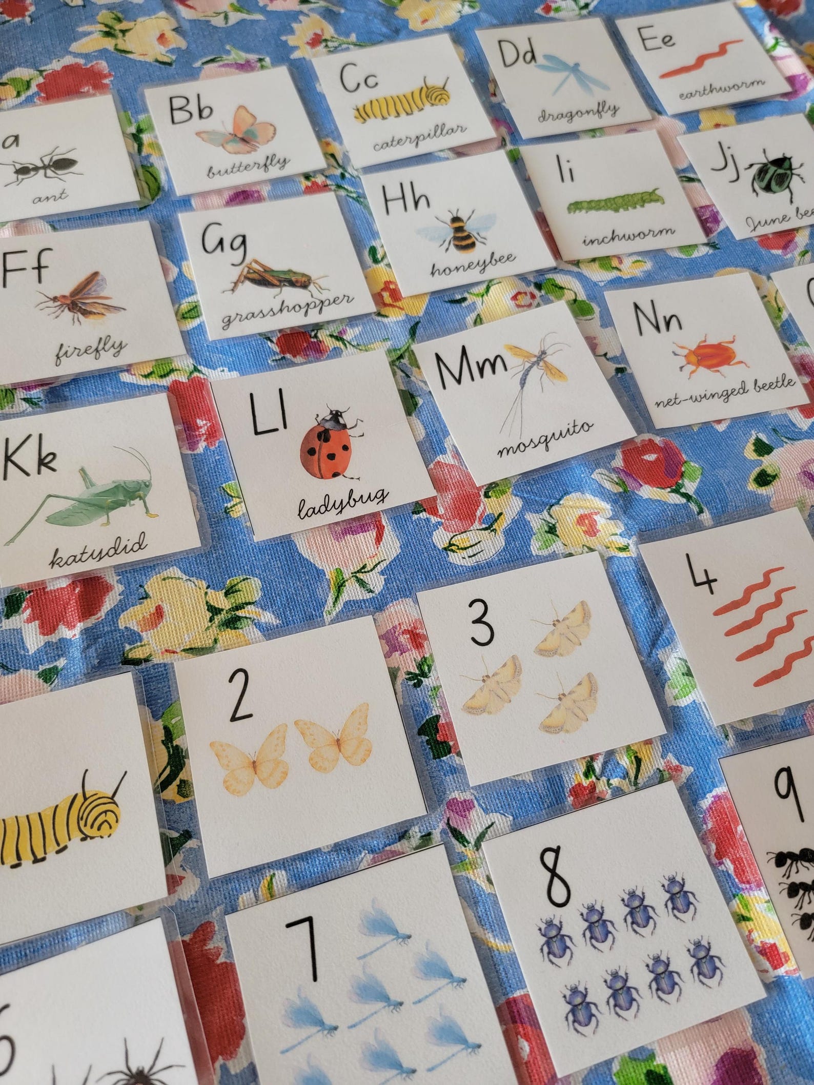 Backyard Bugs Alphabet Flashcards A-Z | Insect ABC Printable ...