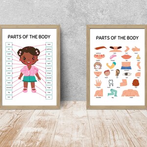 Parts of the Body Educational Poster. Human Anatomy. Homeschool ...