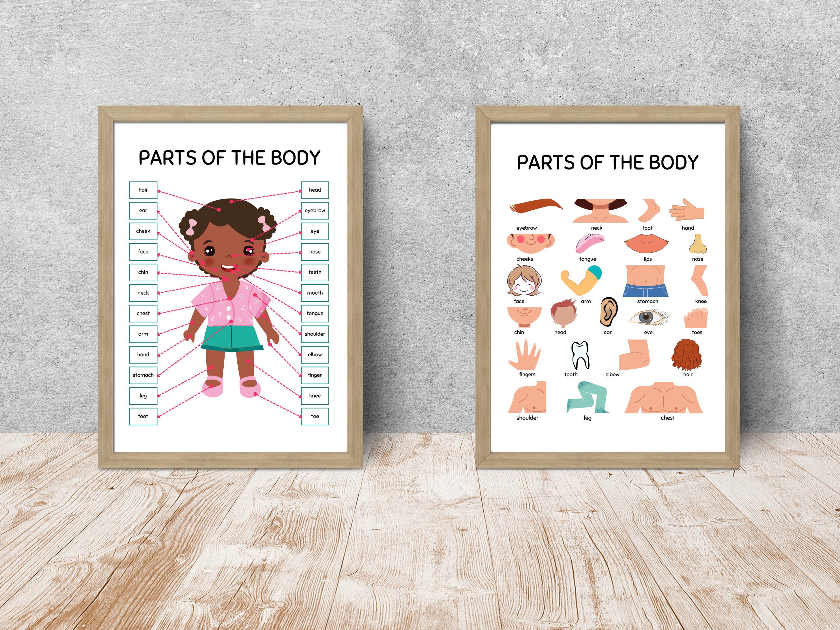 Parts of the Body Educational Poster. Human Anatomy. Homeschool ...