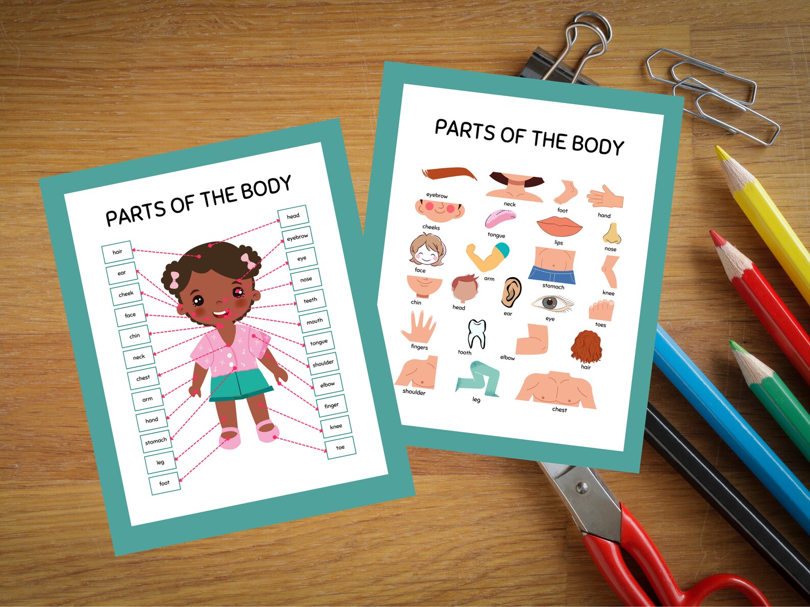 Anatomy Poster: Human Body Parts, Homeschool Science (digital Download ...