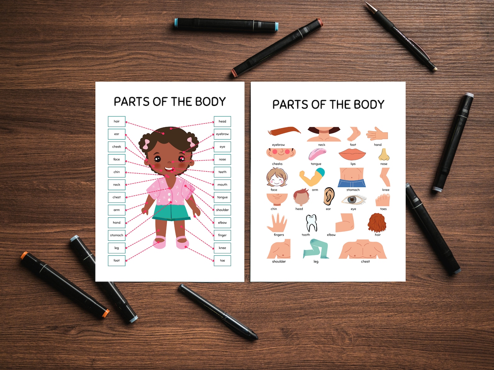 Anatomy Poster: Human Body Parts, Homeschool Science (digital Download ...