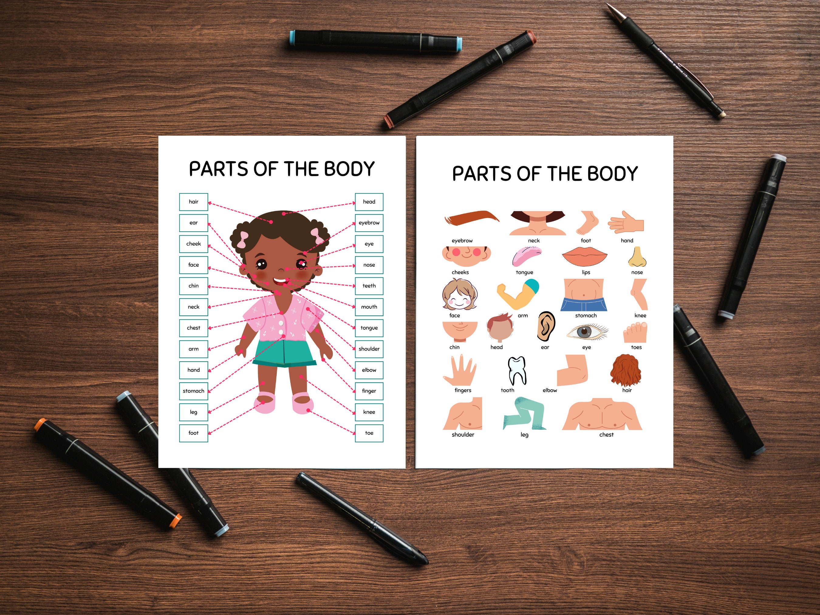 Parts of the Body Educational Poster. Human Anatomy. Homeschool ...