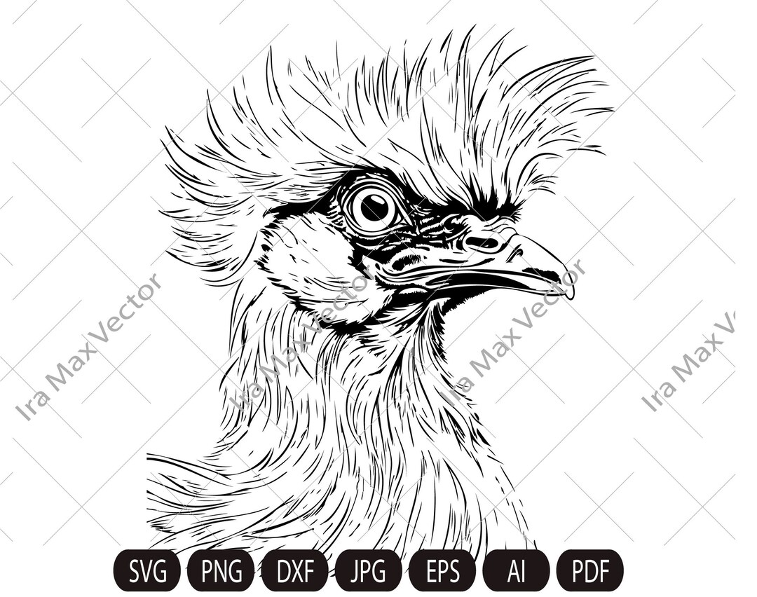 Silkie Hen Svg, Silkie Hen Head Svg, Silkie Hen Face Svg, Silk Rooster ...