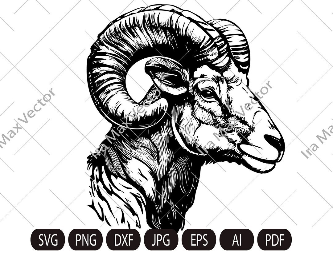 Ram Head SVG, Ram SVG, Aries, Sheep, Farm Animal Graphics Illustration ...