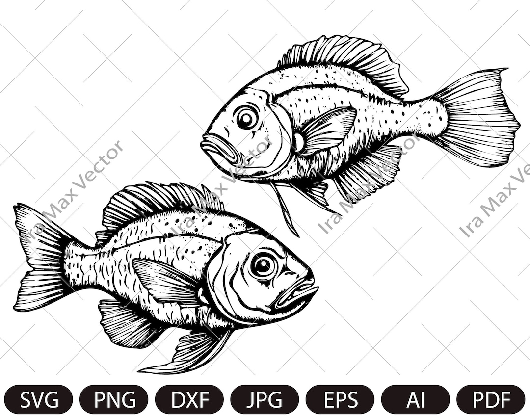 Pescado SVG / Pescado lindo SVG / silueta de pescado / vector de ...