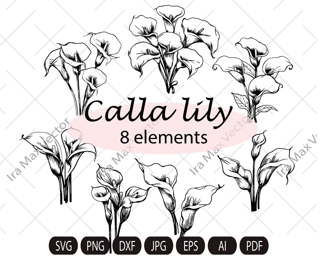 Calla Lily SVG, Calla Lily Bouquet, Spring Flowers Vector Drawings ...