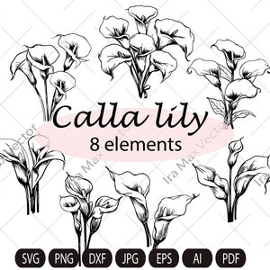 Calla Lily SVG, Calla Lily Bouquet, Spring Flowers Vector Drawings, Botanical Flowers, Floral ...