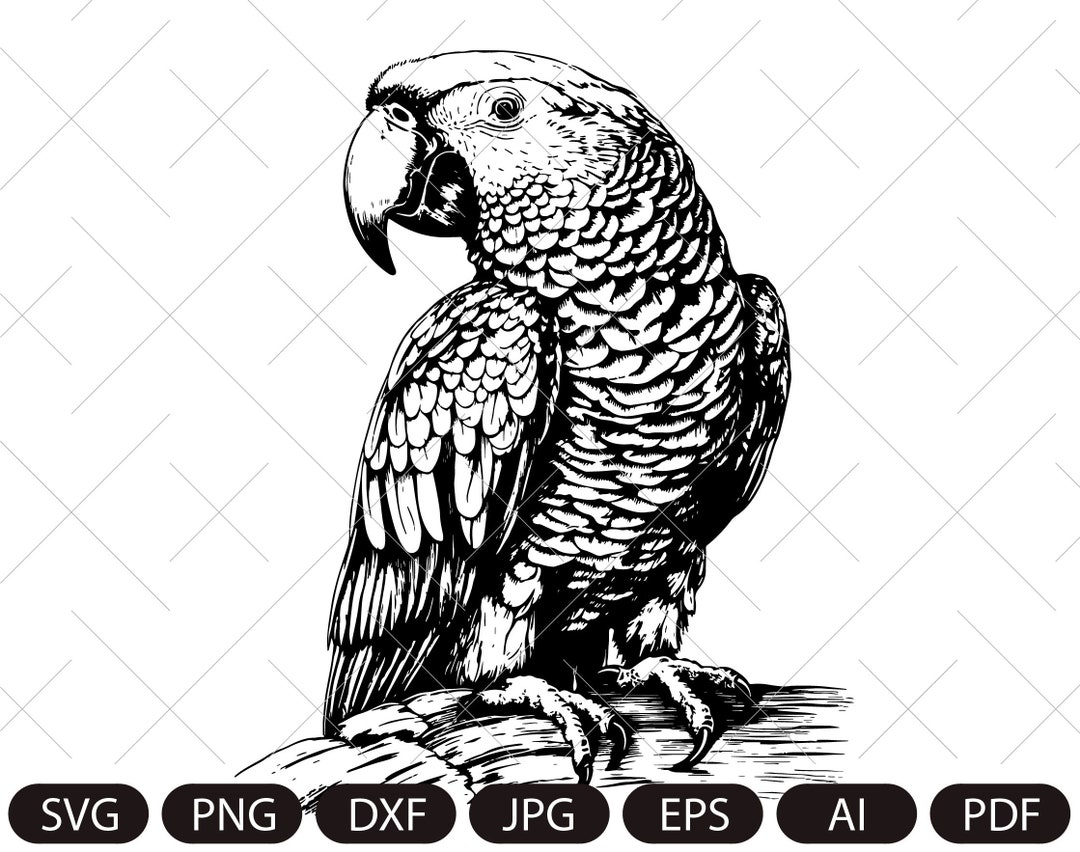 Parrot Svg, Exotic Bird Svg, Macaw Svg, Silhouette Dxf, Cricut Svg ...