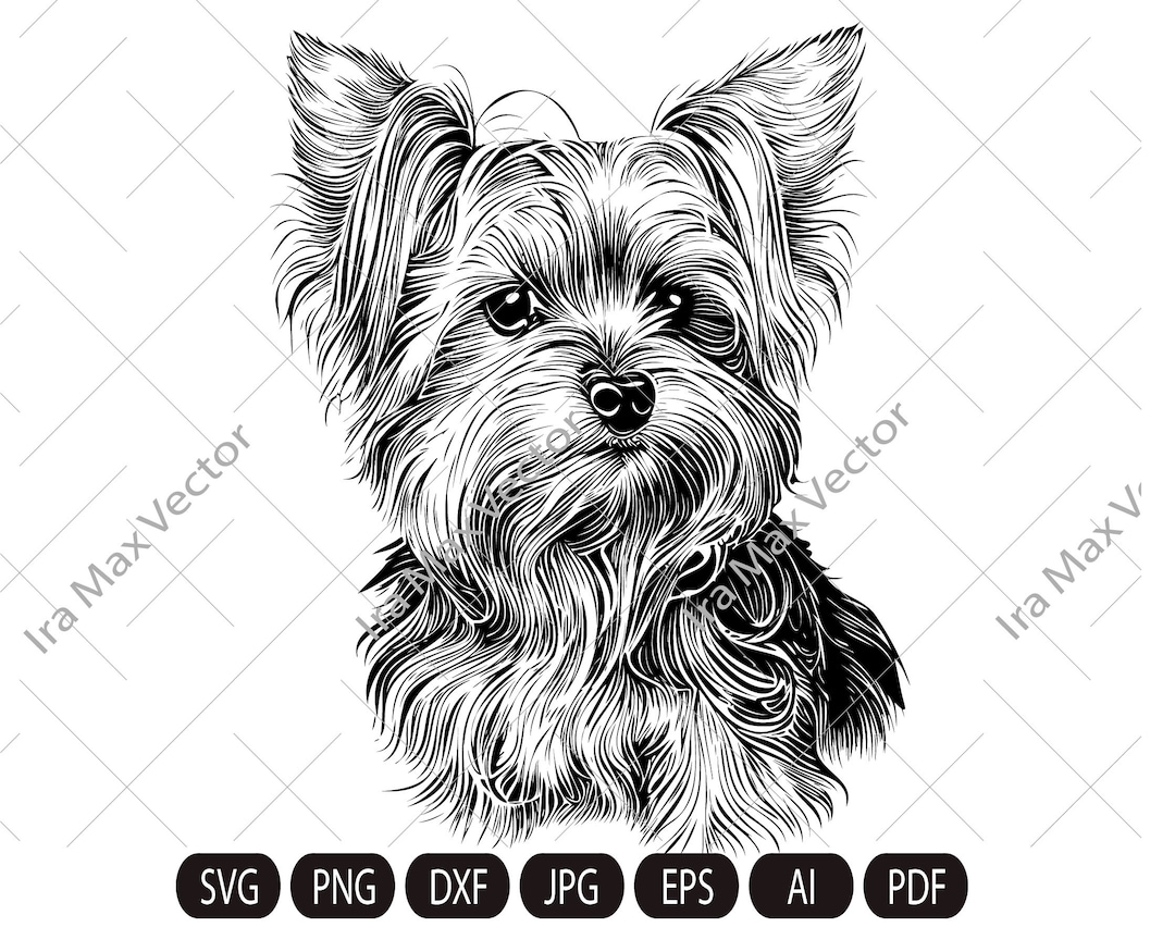 Yorkshire Dog Svg, Yorkshire Terrier SVG, Yorkie Face Clipart, Dog Svg ...