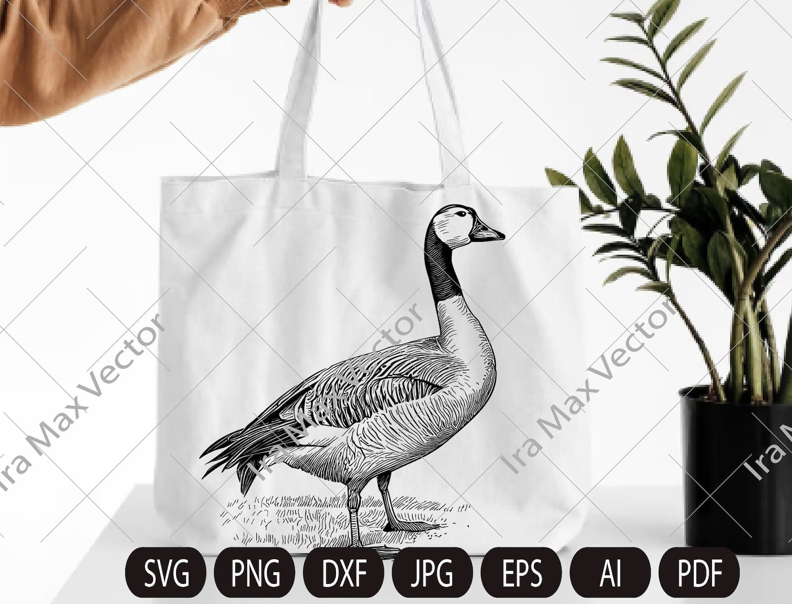 Goose SVG, Goose Standing,grey Goose SVG, Goose Clipart, Goose Detailed ...
