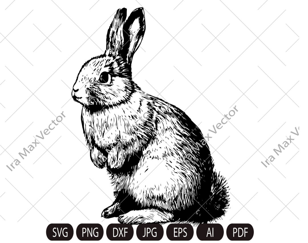 Rabbit SVG, Bunny Monogram,hare Svg, Easter , Hunter Svg, Peeking ...