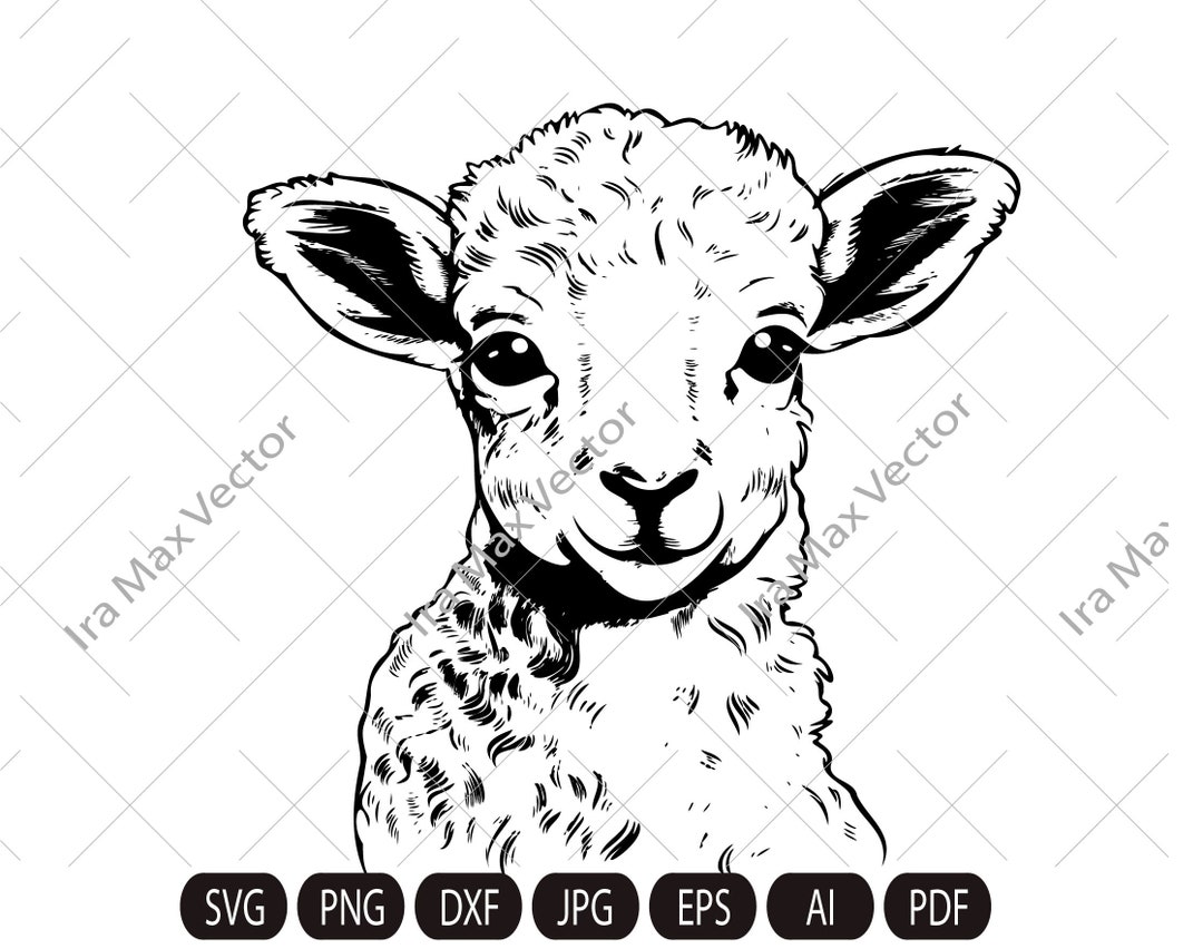 Lamb Svg, Sheep Svg, Cute Farm Animal, Livestock,farm Life, Lamb ...