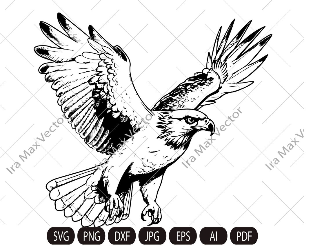Falcon Svg, Falcon Clipart, Falcon Png, Falcon Head, Falcon Cut Files ...