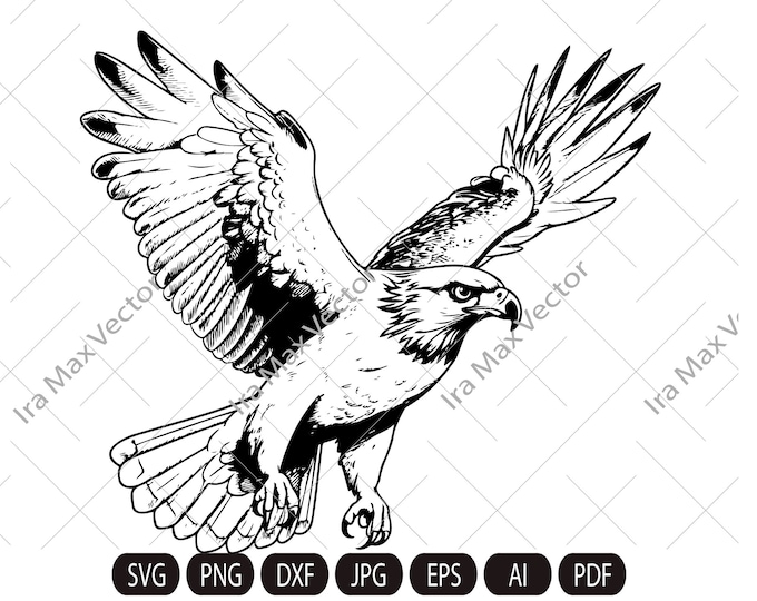 Falcon 3 Svg, Falcon Svg, Predator Bird Svg, Falcon Dxf, Falcon Png ...