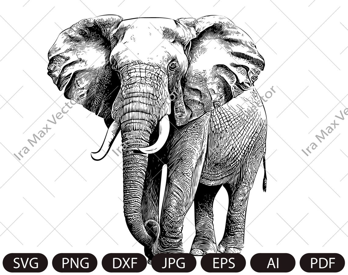 Elephant Svg, Elephant Clipart, Elephant Png, Elephant Head, Elephant ...