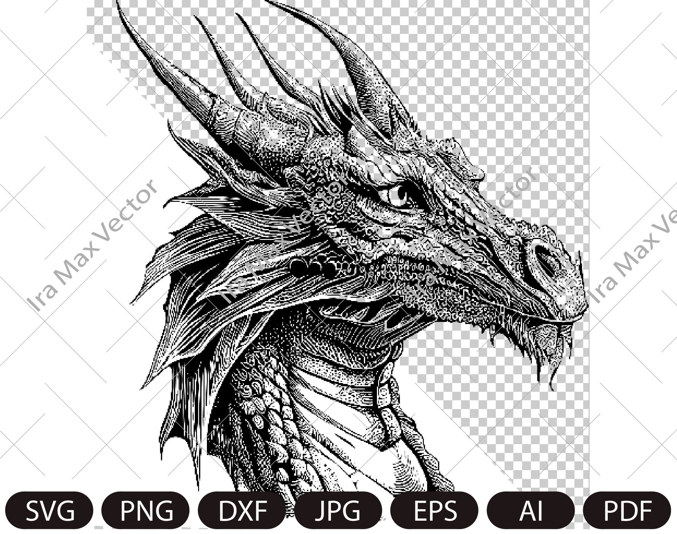 Dragon Faces Drawings