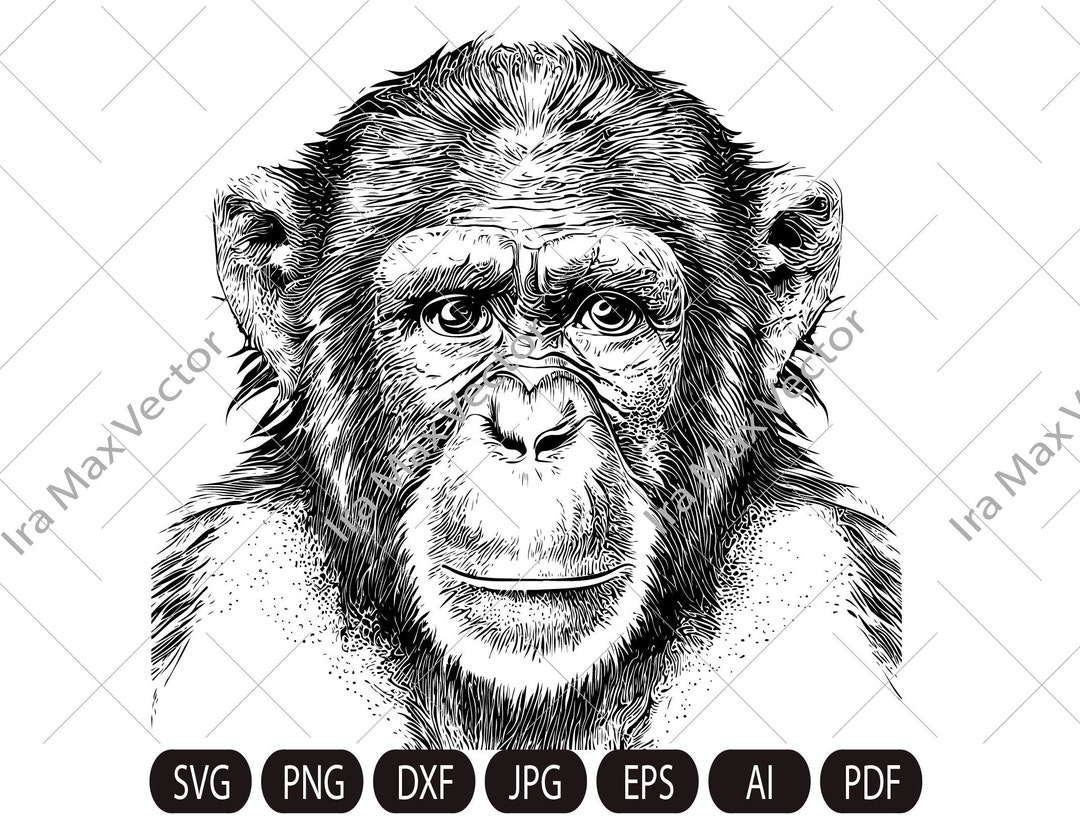 MONKEY Face Svg / Monkey Head Svg / Monkey Svg / Monkey King Svg ...